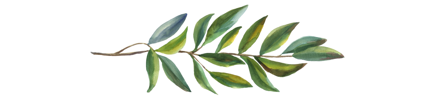 Christian Learning Hub | Simka Foundation