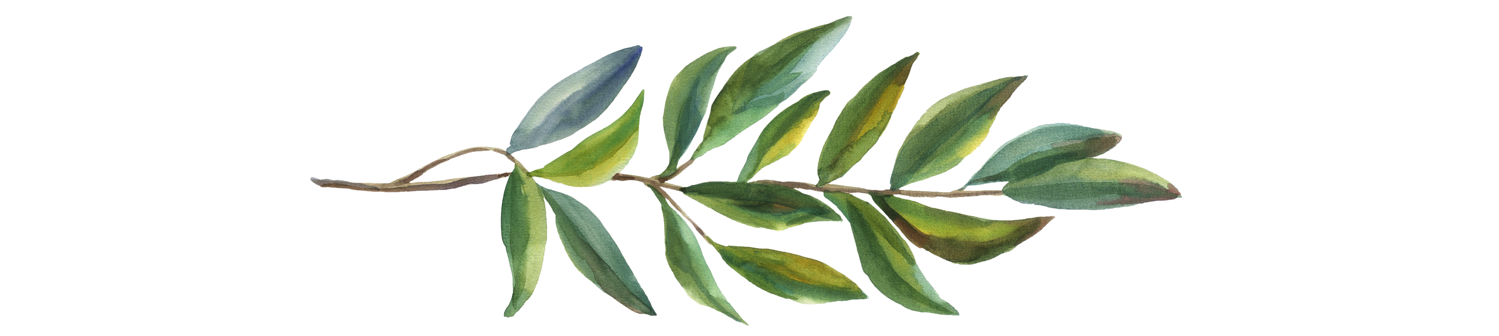 Christian Learning Hub | Simka Foundation