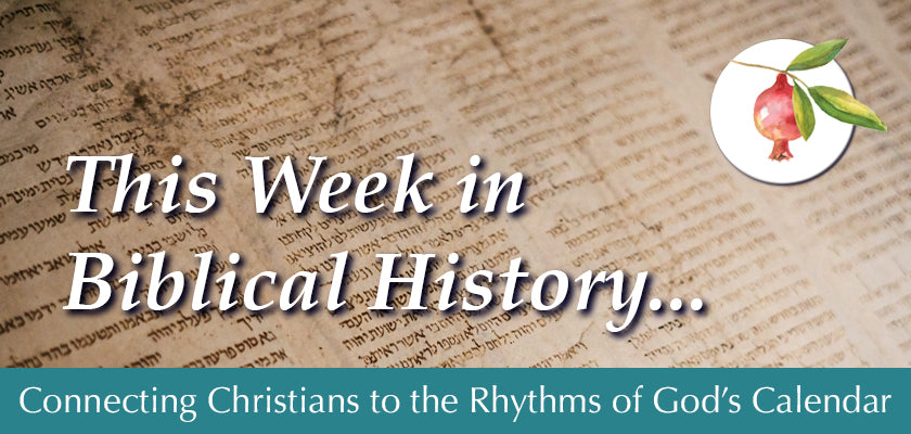 Rhythms – Simka Foundation